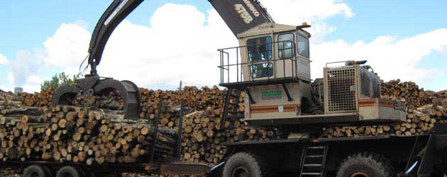 Acoustic Assessment, Noise Control for Ontario Pulp & Paper Mill